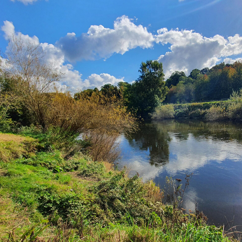Walking Festival Programme – Welcome to Walking in Ross