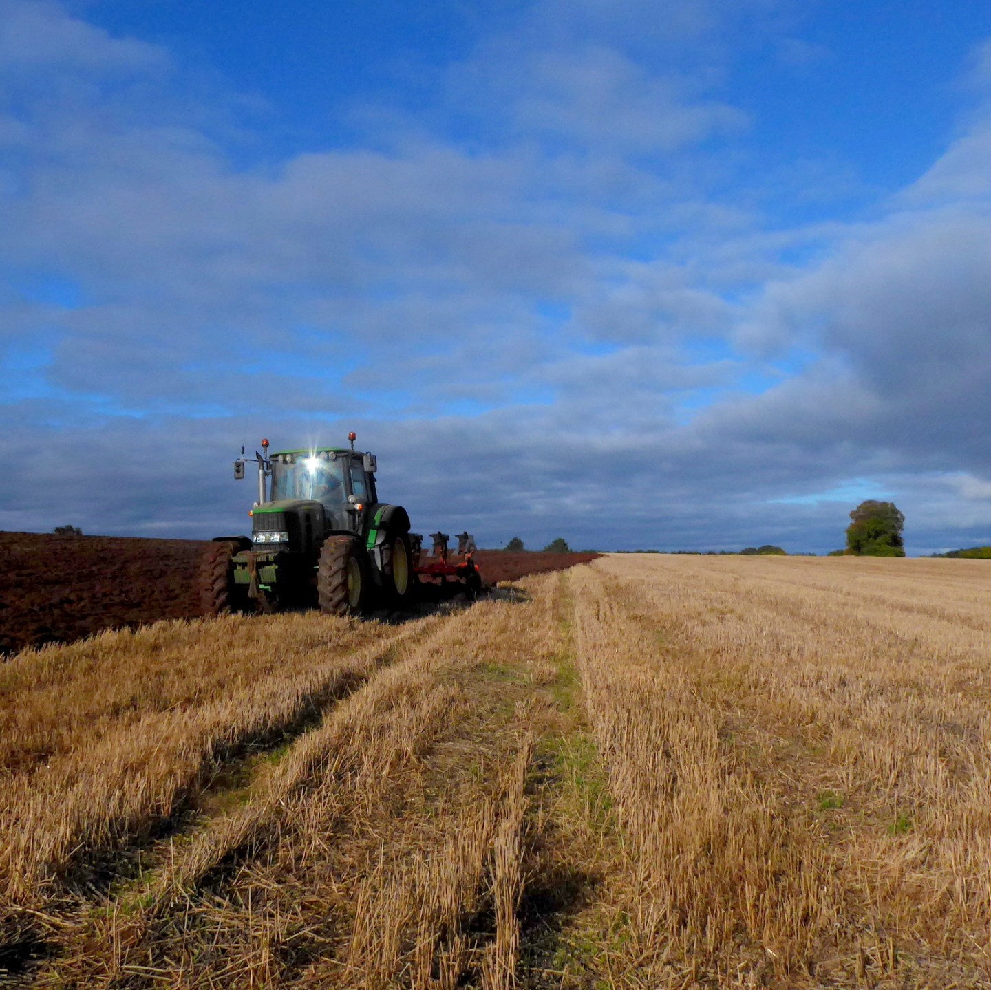 2026 Walking Festival Programme – Welcome to Walking in Ross